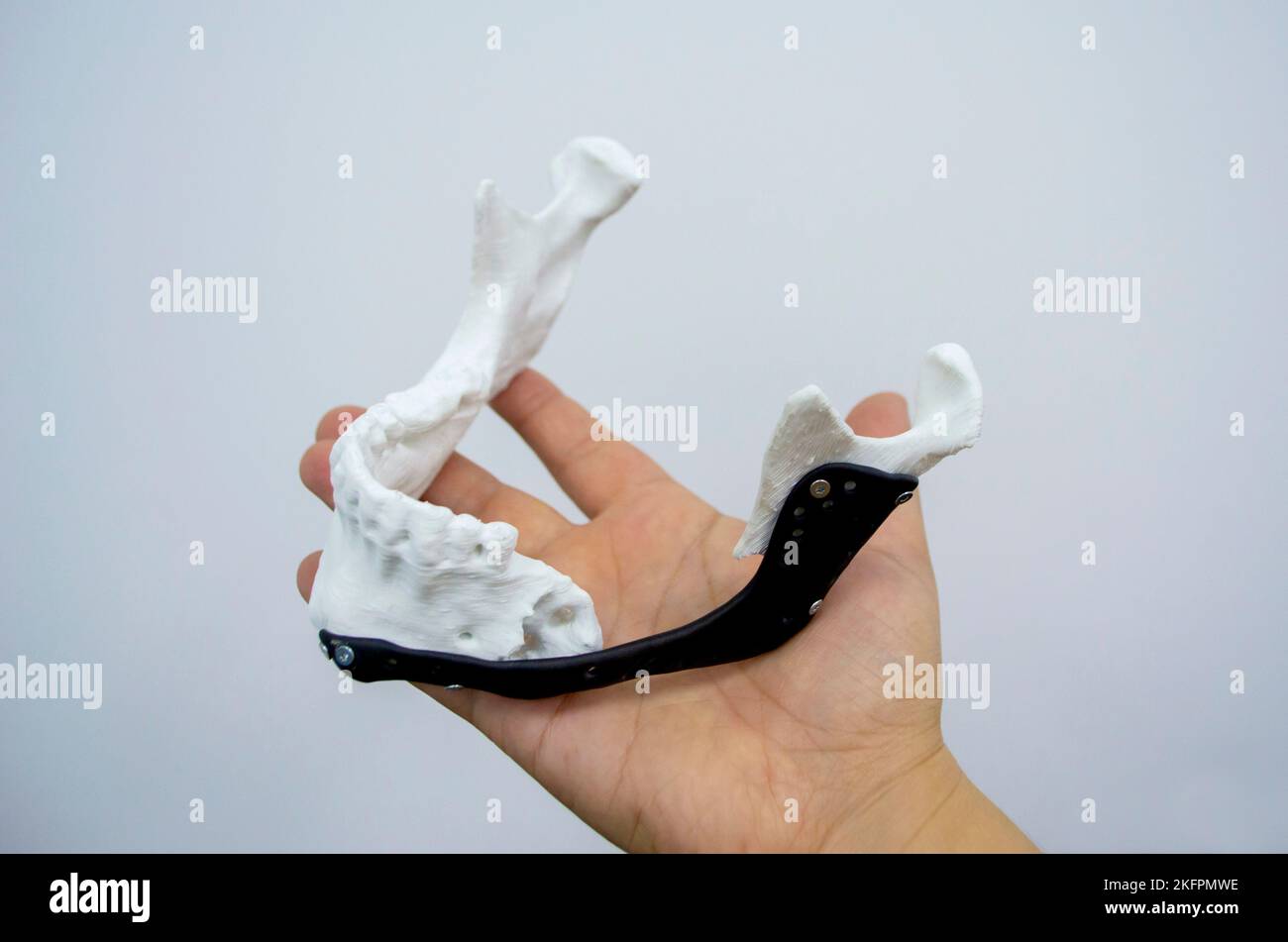 Person holding in hand 3D printed plastic prototype human lower jaw and ...