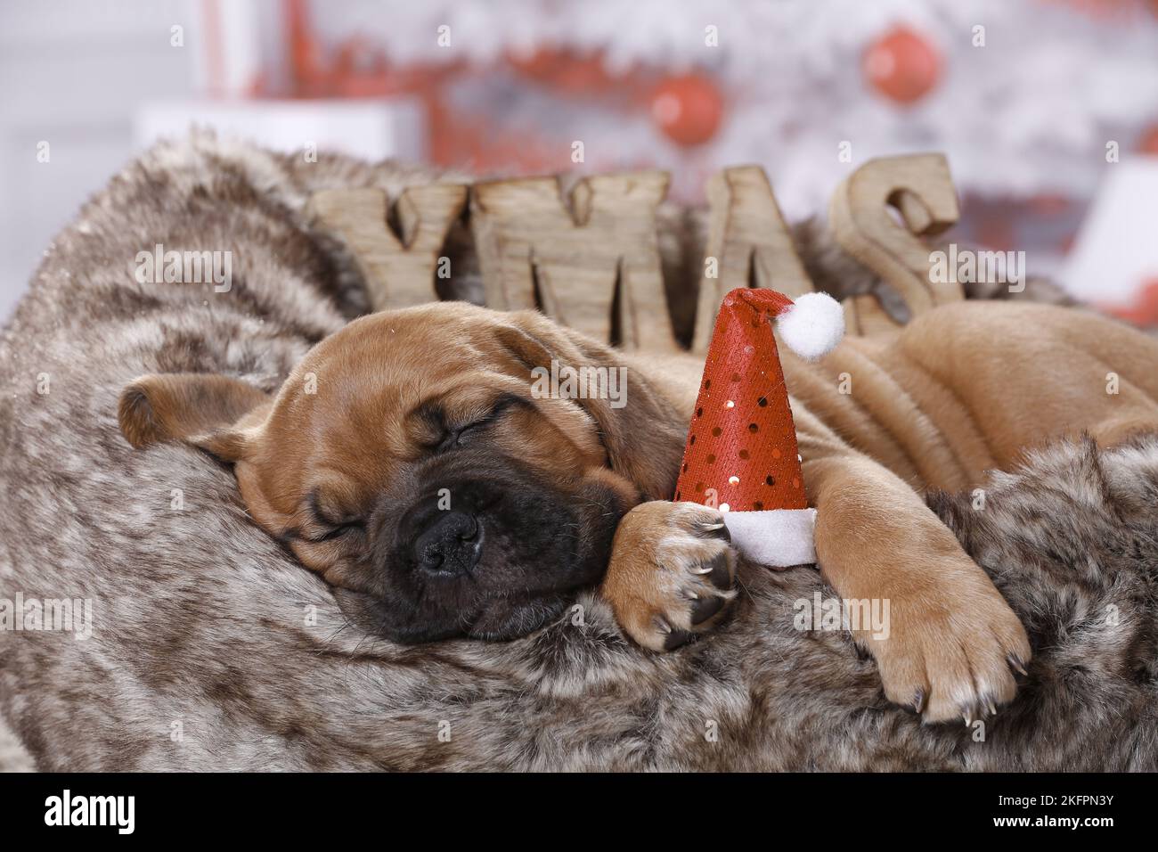 Snooze letters hi-res stock photography and images - Alamy