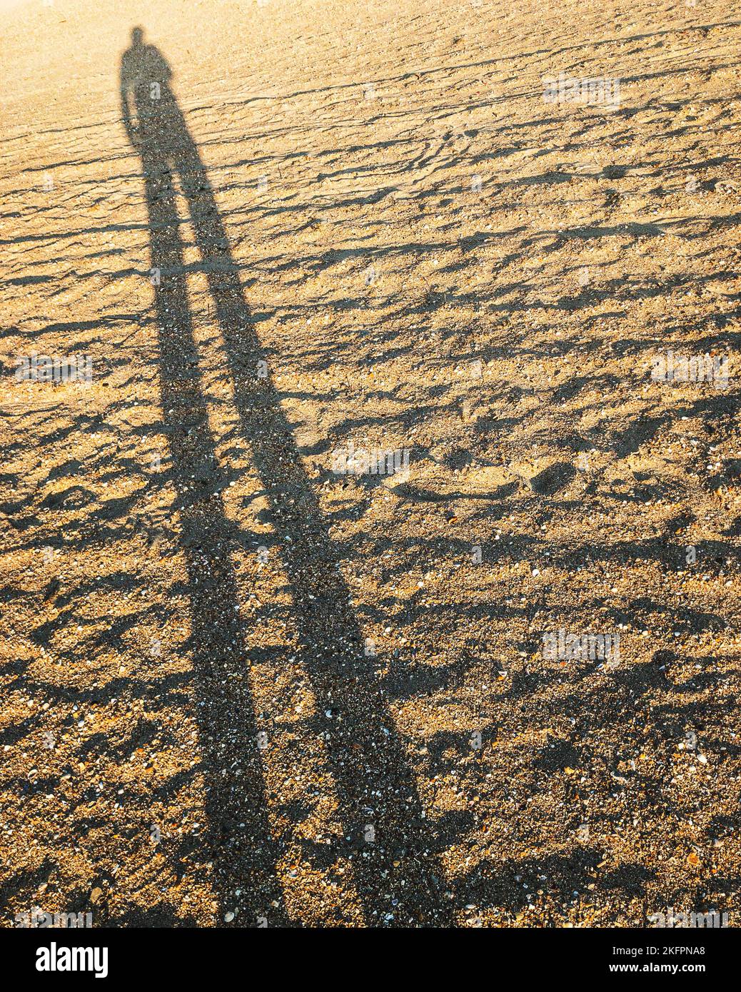 tall long shadow on sand Stock Photo - Alamy