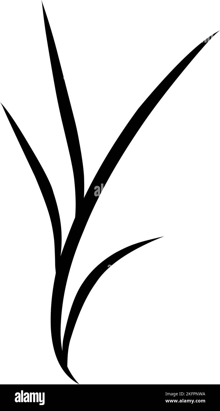 A vector illustration of a plant stem Stock Vector Image & Art - Alamy