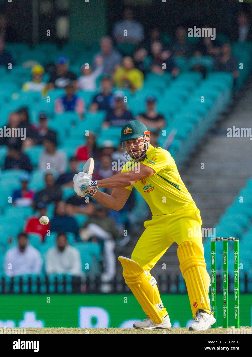 Sydney, Australia. 19 Nov 2022. Australia v. England cricket match in ...