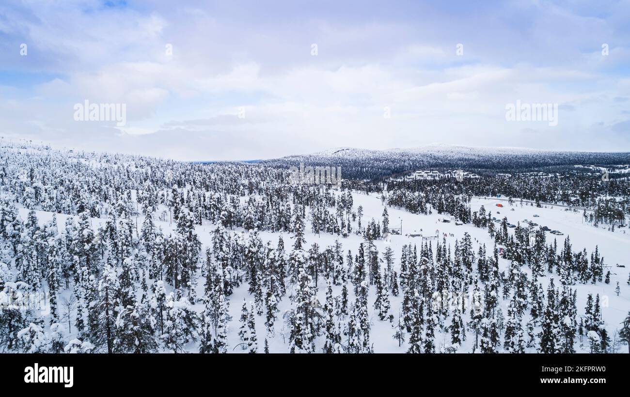 Forest covered with snow, aerial view with drone, view from above Stock ...