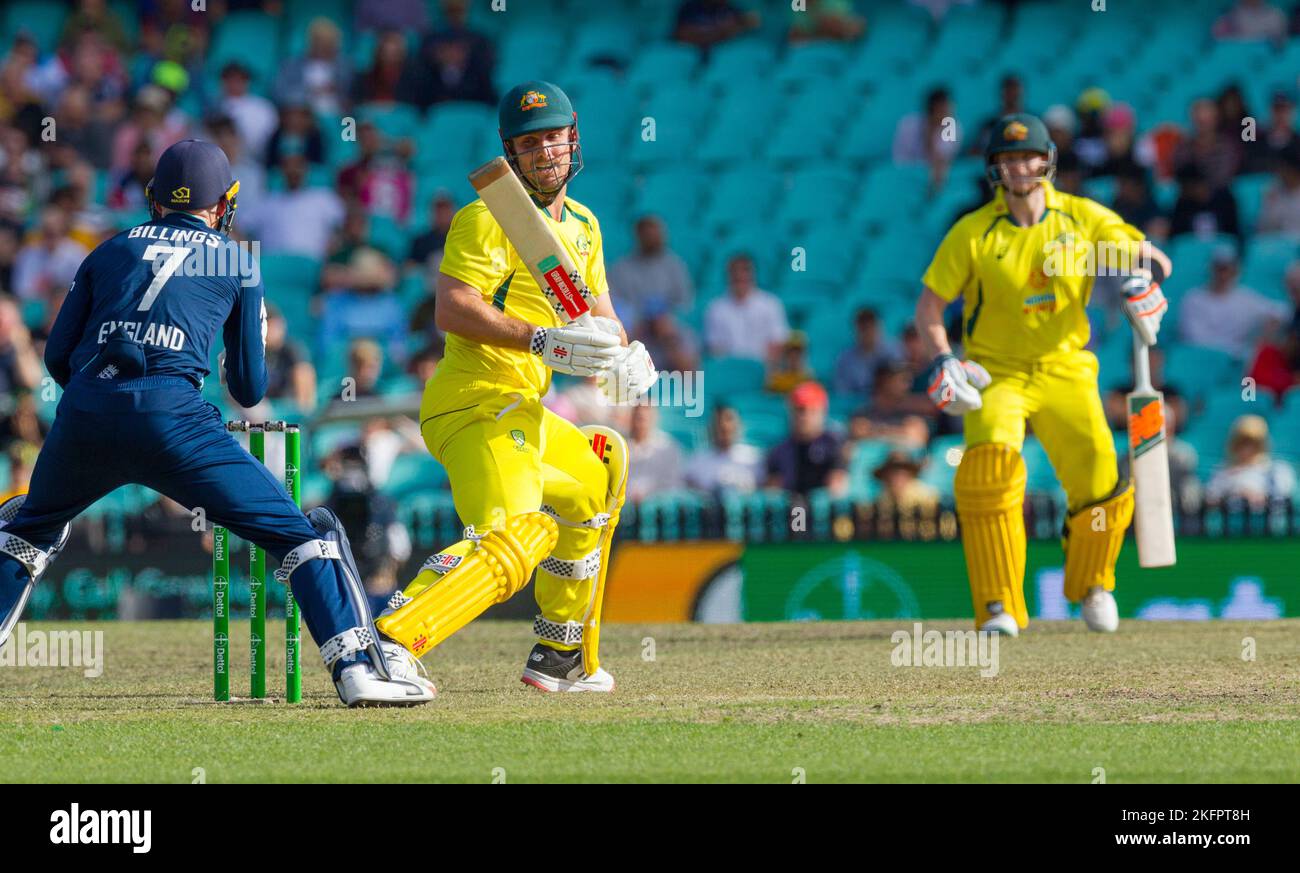 Sydney, Australia. 19 Nov 2022. Australia v. England cricket match in ...