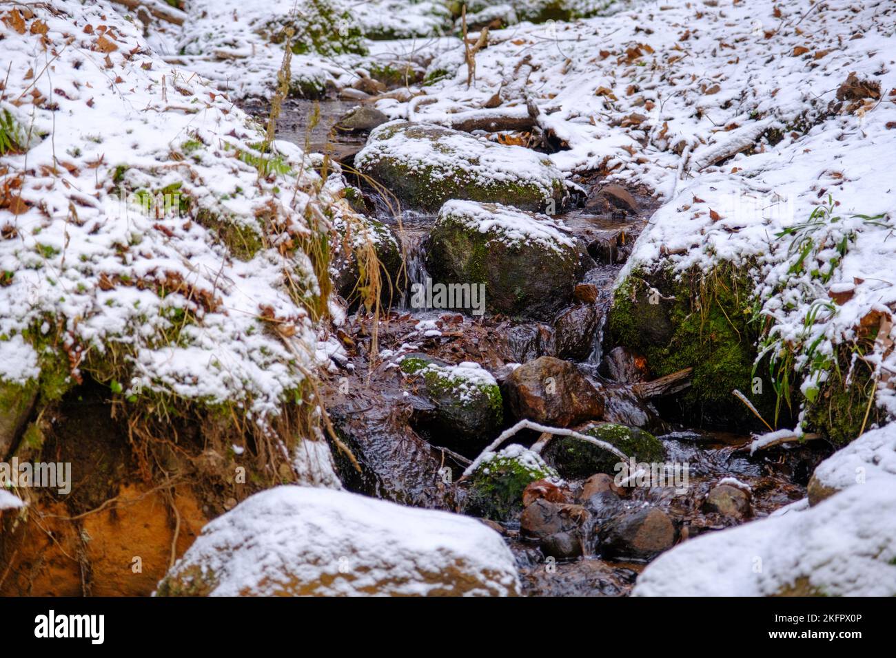 A small river in winter. Not frozen water in the river. Nature in ...
