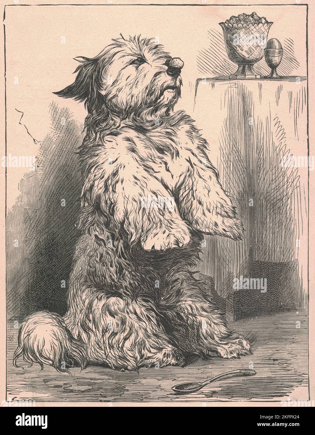 Troll Flight Form Sitting