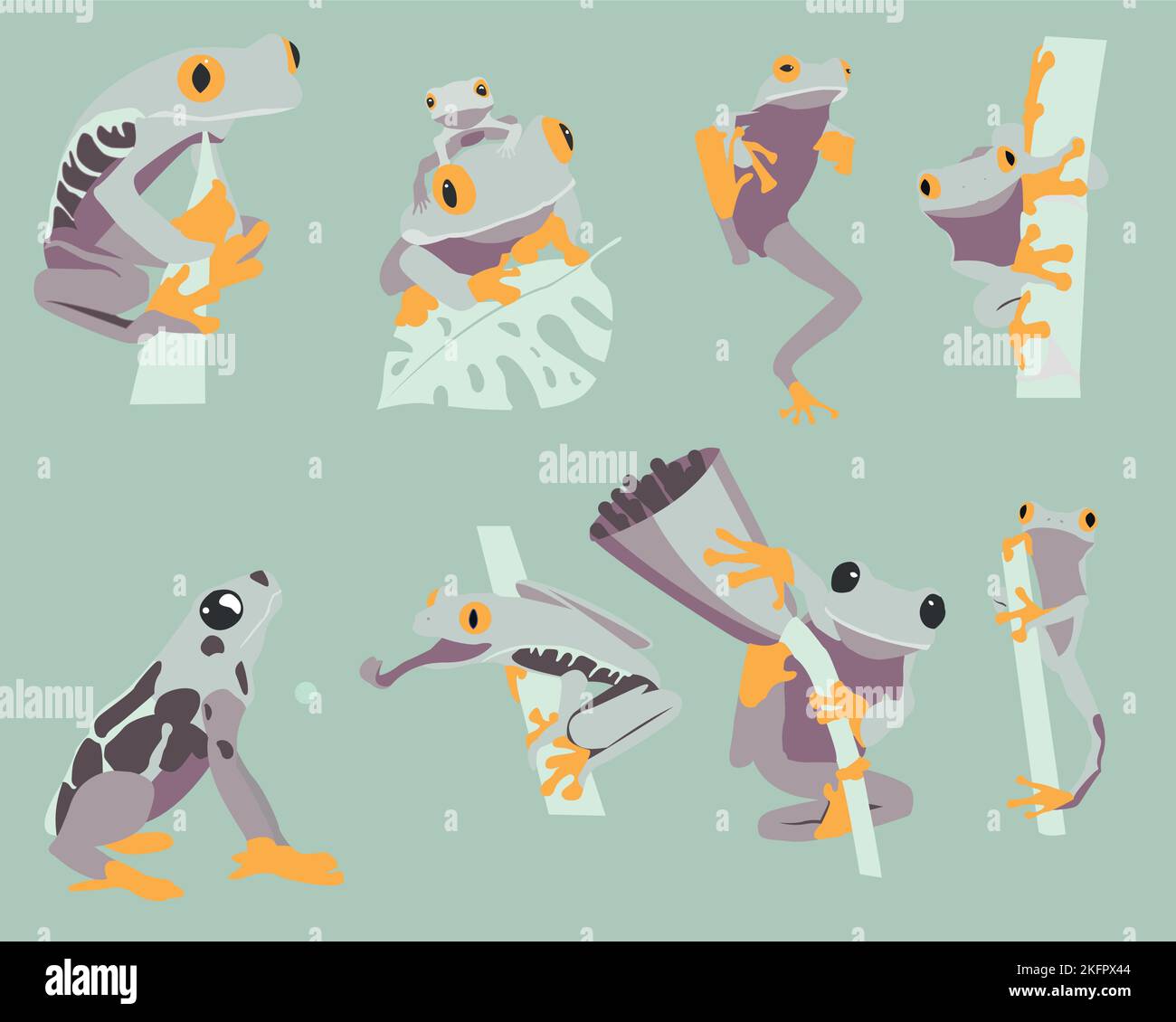 A set of editable frog vectors in different positions against isolated ...