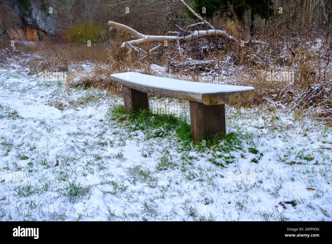 A wooden bench made of round logs stands in the nature park. The bench ...