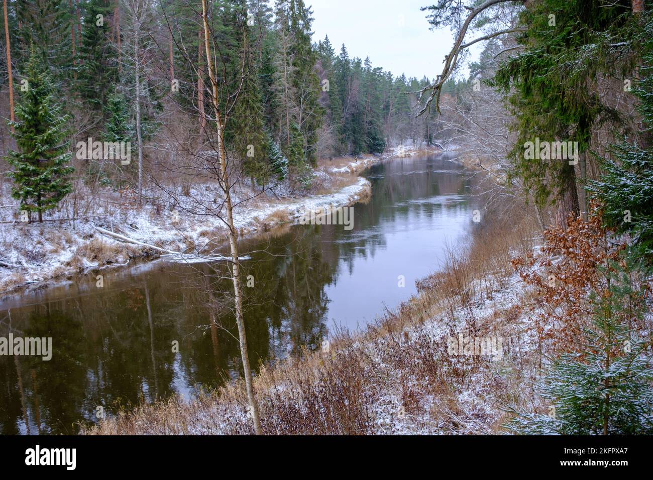 The river Salaca is meandered by high sandstone cliffs. Skanaiskalns ...