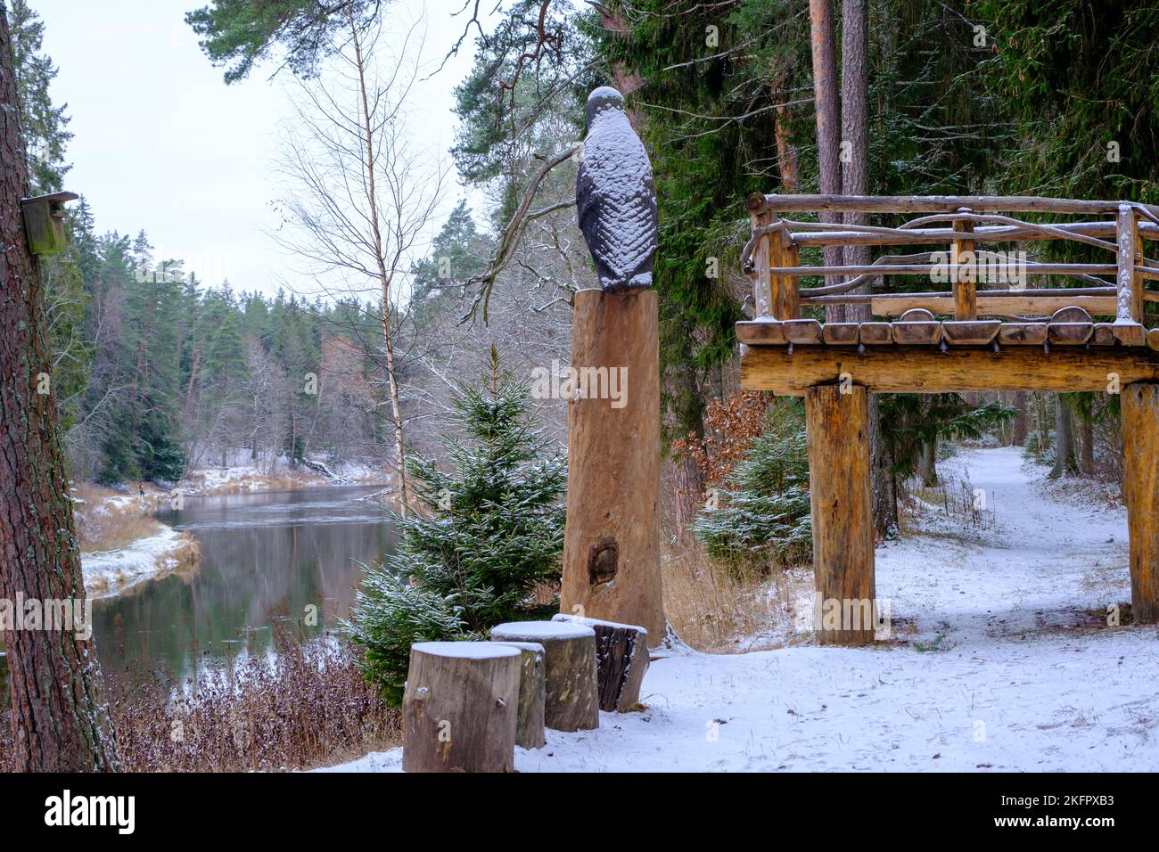 wooden viewing platform by the river. nature park Salaca. Skanaiskalns ...