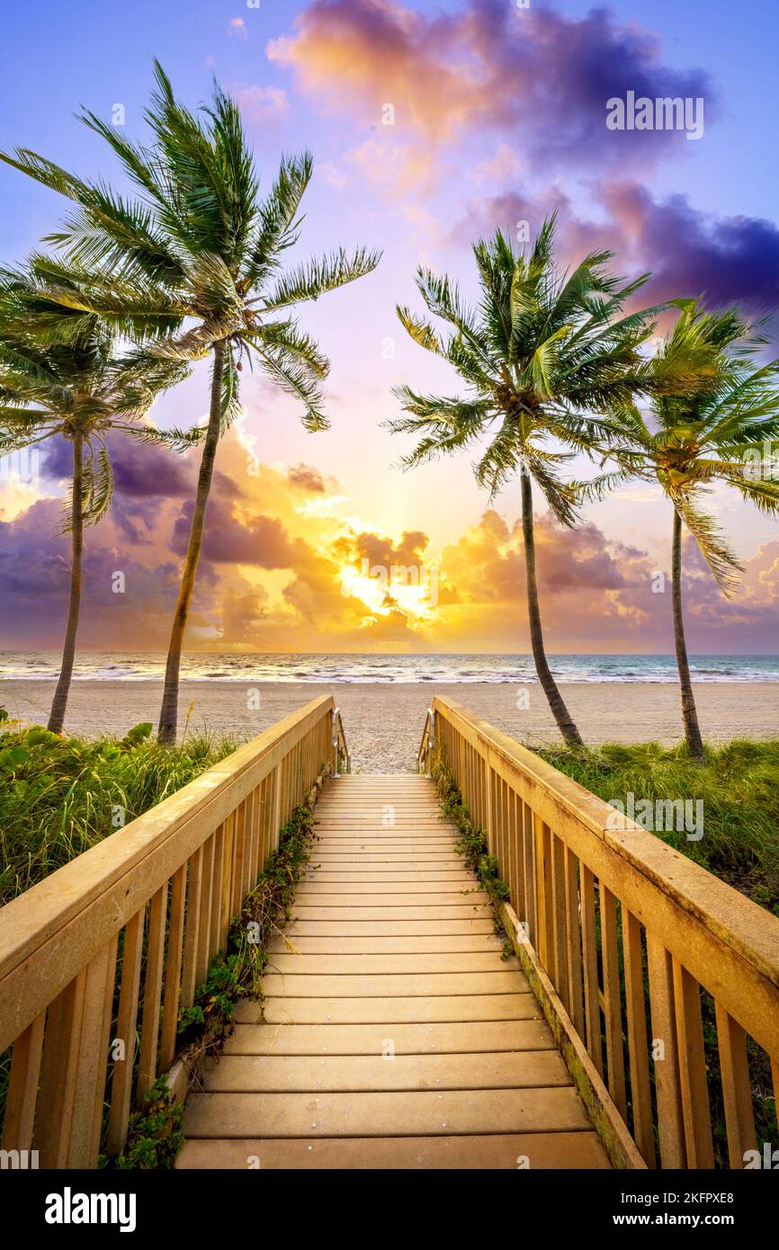 Beautiful Beach Path framed by Palmtrees leading to the Beach ...
