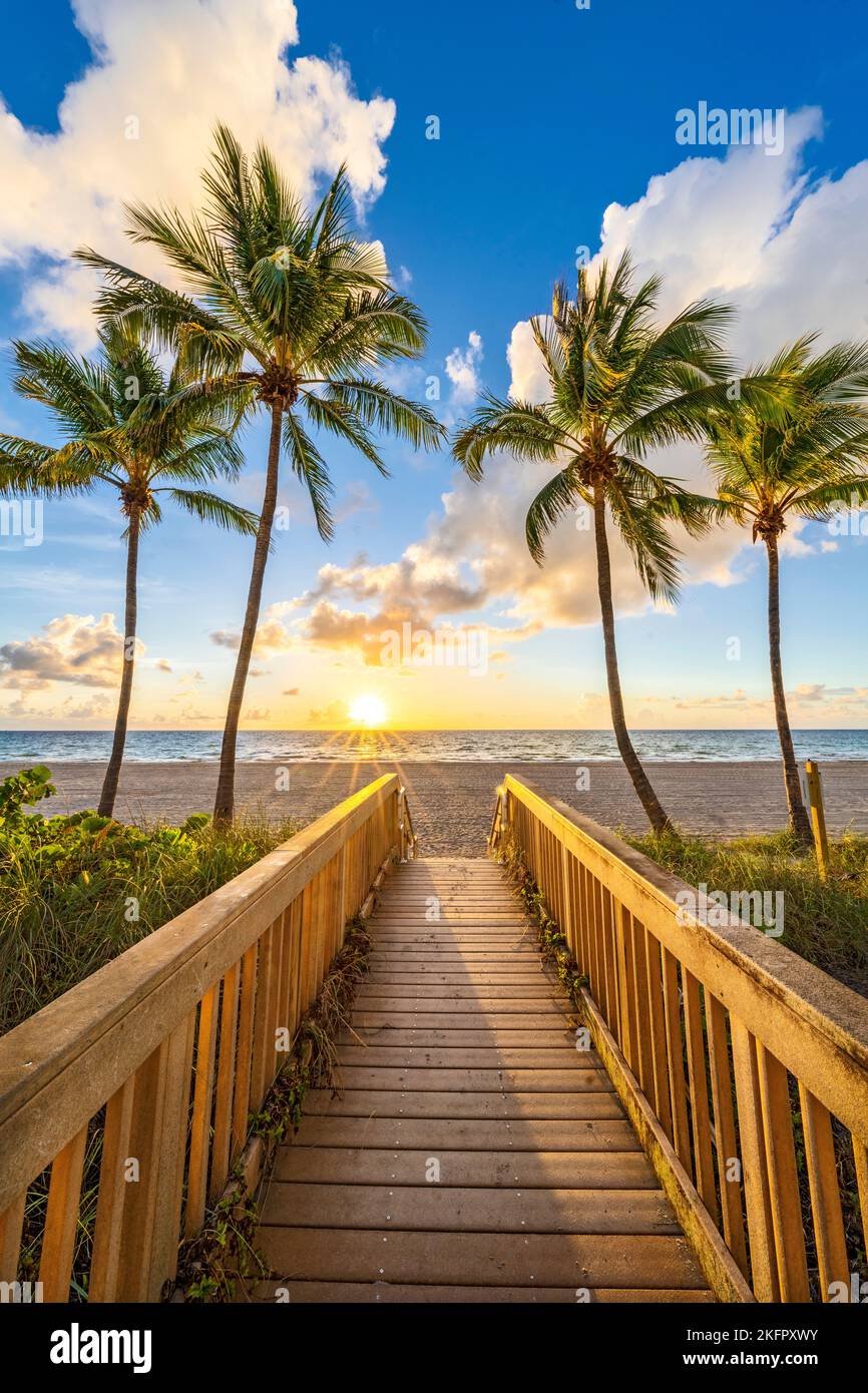 Beautiful Beach Path framed by Palmtrees leading to the Beach ...
