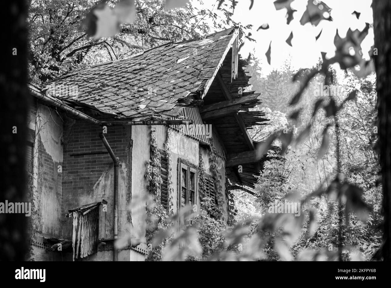 An old house ruin with a derelict roof, seen from between trees, Bled ...