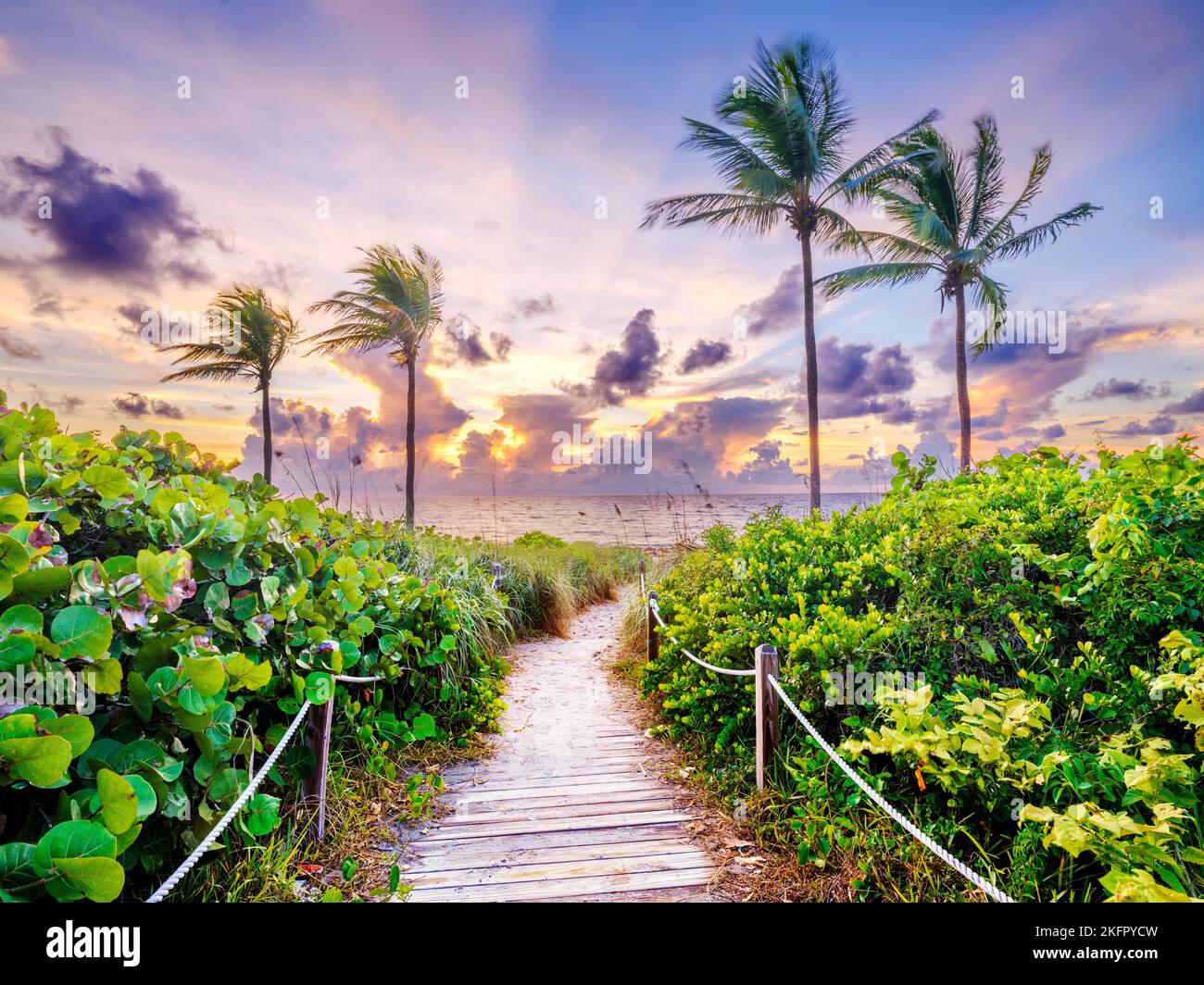 Beautiful Beach Path framed by Palmtrees leading to the Beach ...