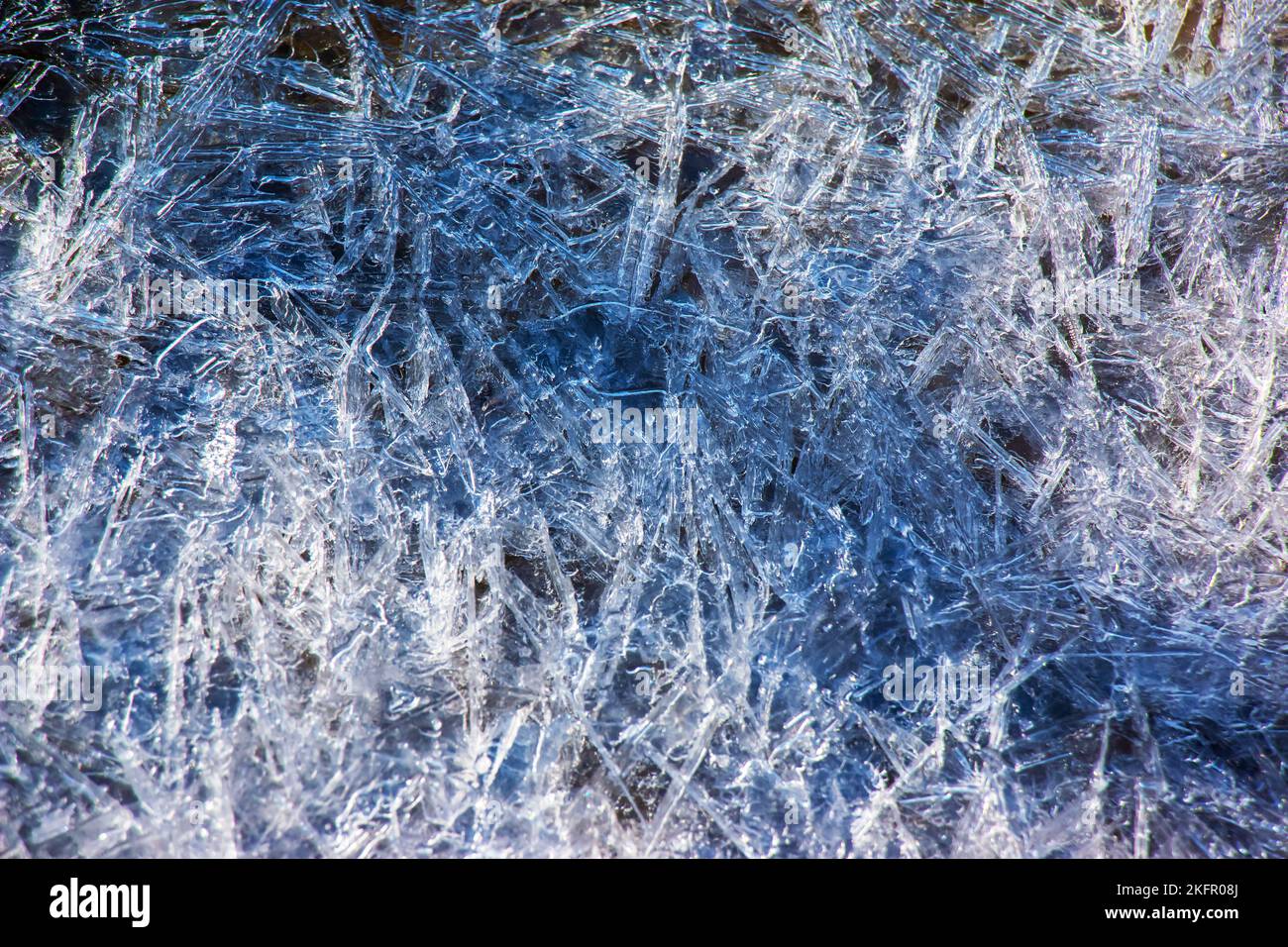 The surface of the river with algae covered with ice. Ice texture ...