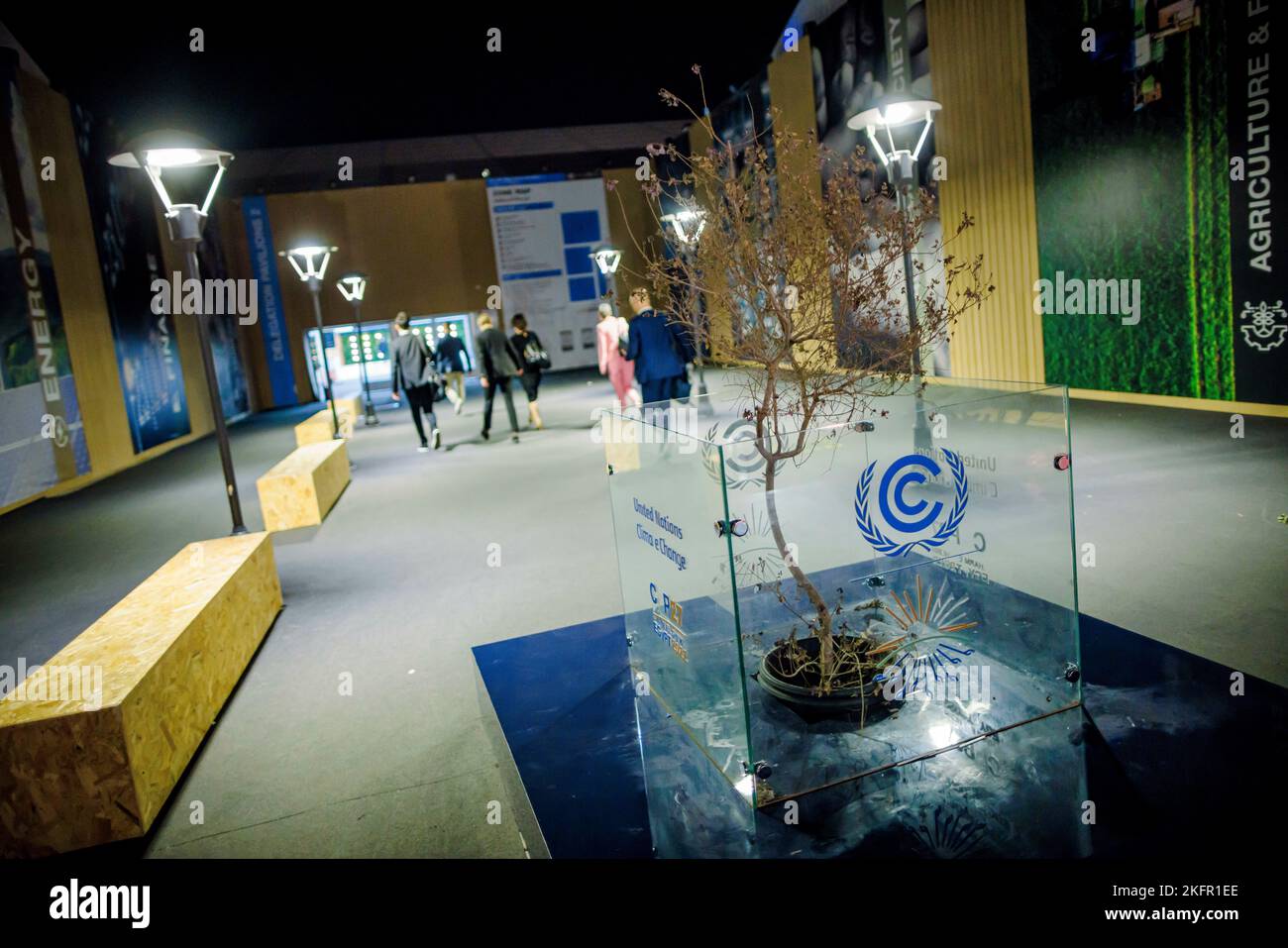 COP27 climate conference. Sharm el-Sheikh, 11/19/2022 Stock Photo - Alamy