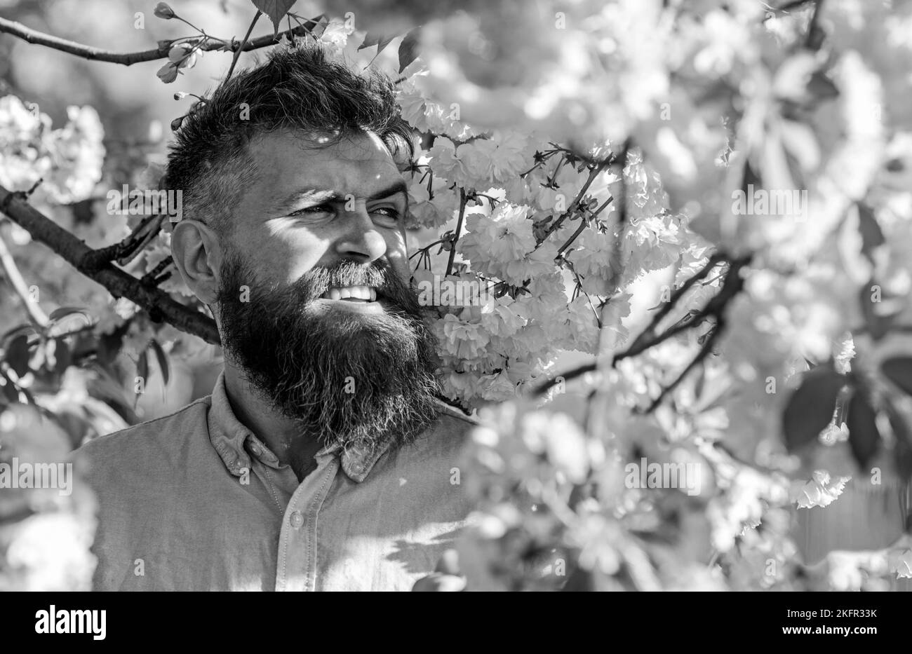 Harmony concept. Hipster in pink shirt near branches of sakura tree ...