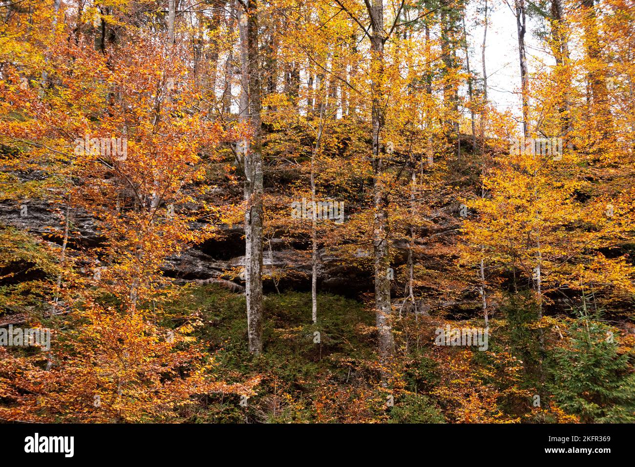 Hiking Through The Vrata Valley In Autumn Triglav National Park In The