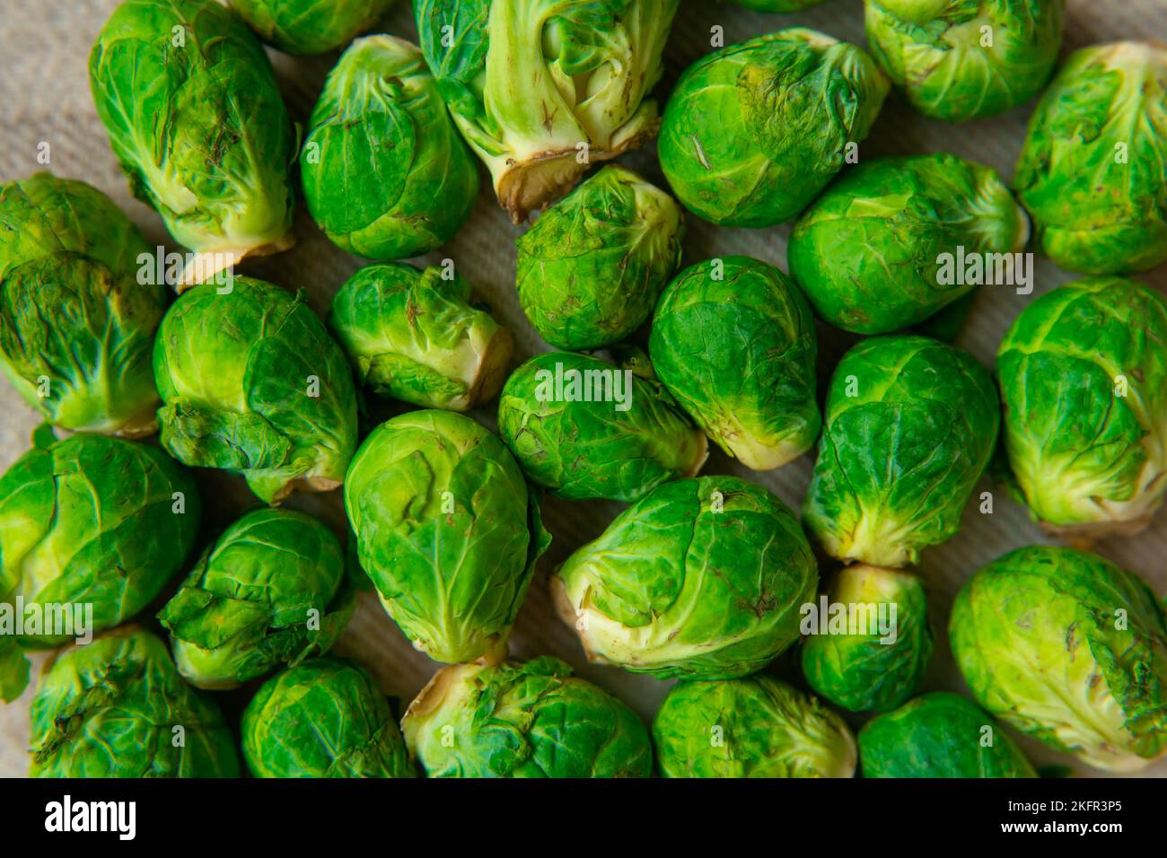 Vegetables sprouts hi-res stock photography and images - Alamy