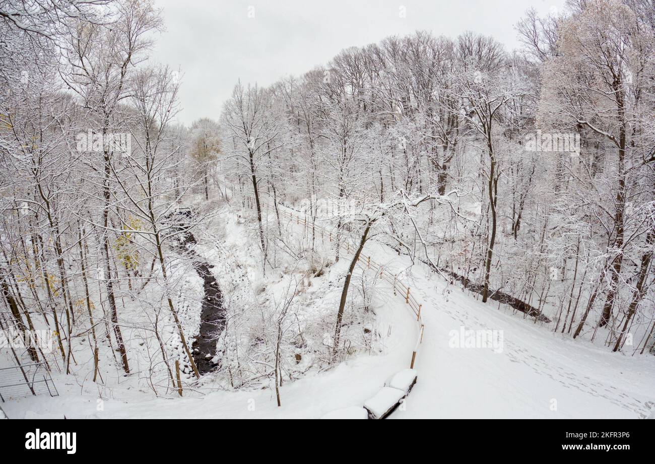 Snow falling on the hiking trail and forest in Moore Park Ravine in ...