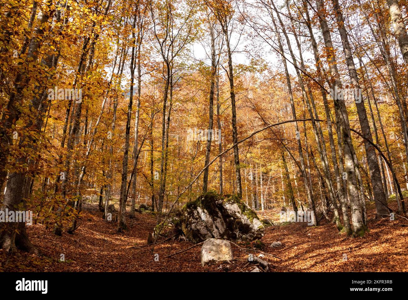 Hiking Through The Vrata Valley In Autumn Triglav National Park In The