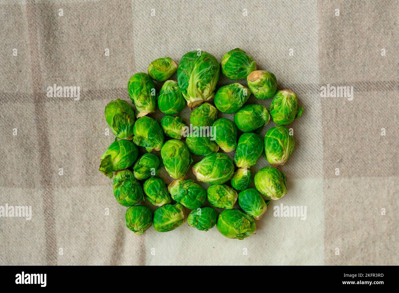 Brussels sprouts close-up on a beautiful stand, healthy vegetables ...