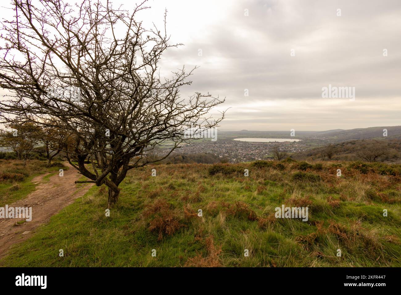 November 2022 - View across the valley from the top of the gorge ...