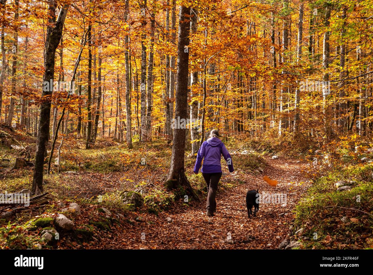 Hiking Through The Vrata Valley In Autumn Triglav National Park In The