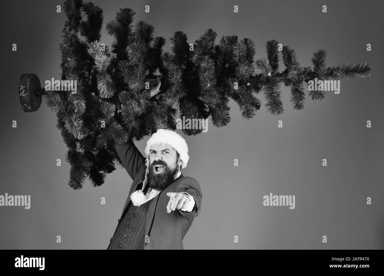 Businessman with raging face holds bald Christmas tree up Stock Photo ...