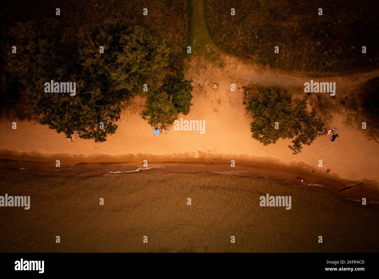 An aerial of a beach with sea waves and green trees in Sweden Stock ...