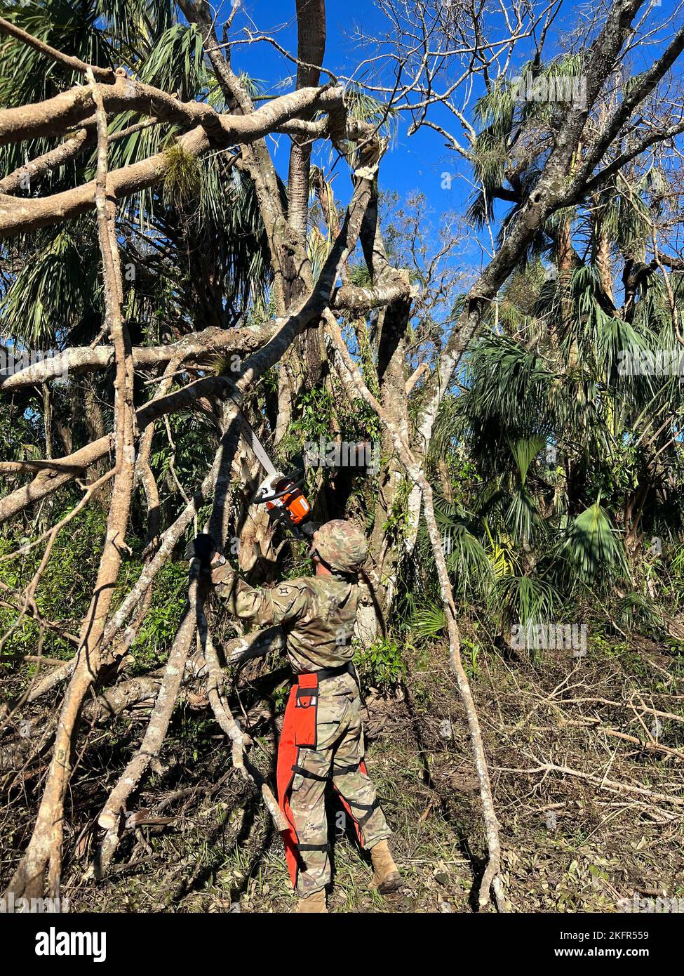 Florida Army National Guard, 870th Engineer Company (SAPPERS) attached ...