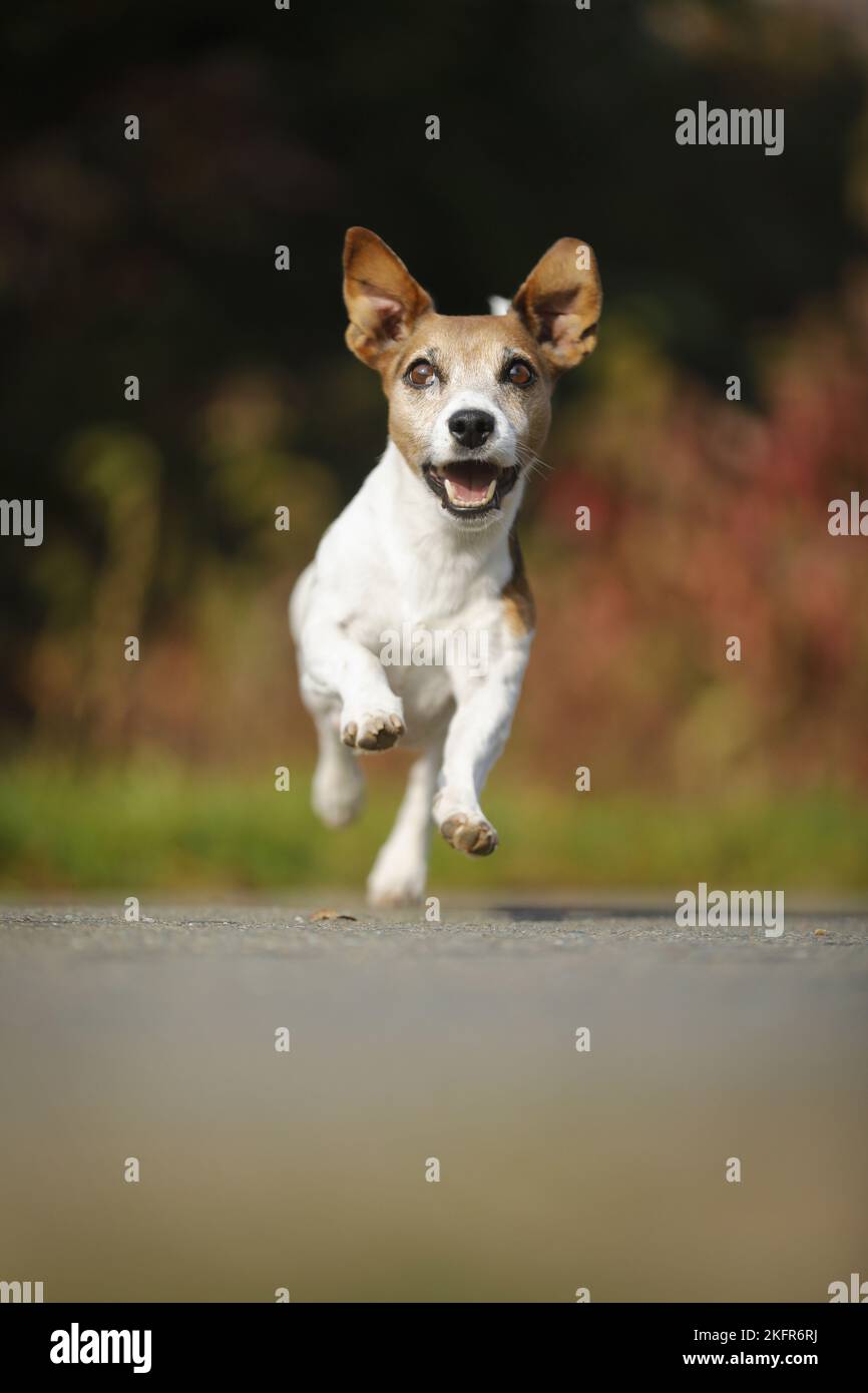 Russell and high streets hi-res stock photography and images - Alamy