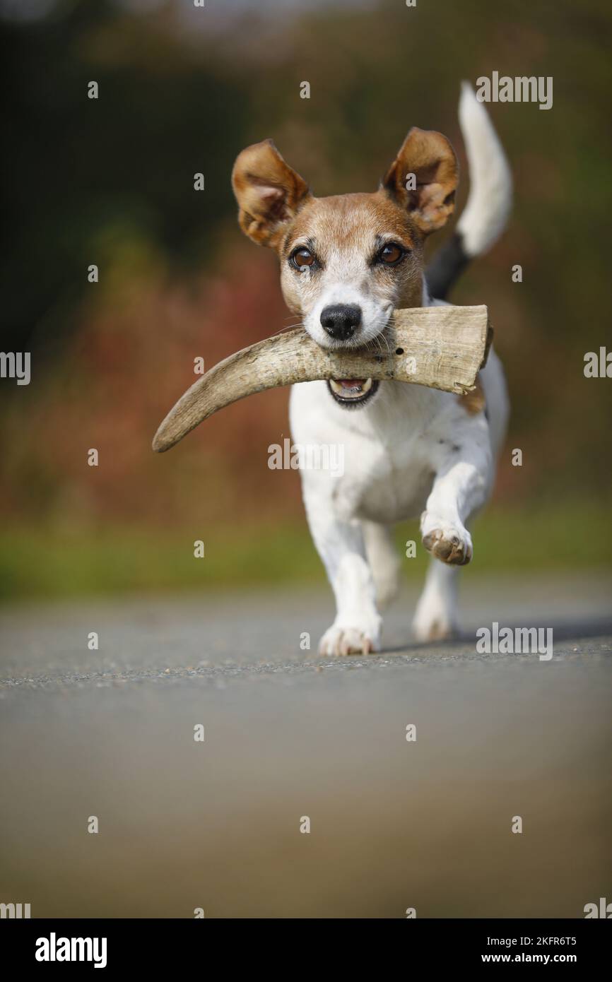 Russell and high streets hi-res stock photography and images - Alamy