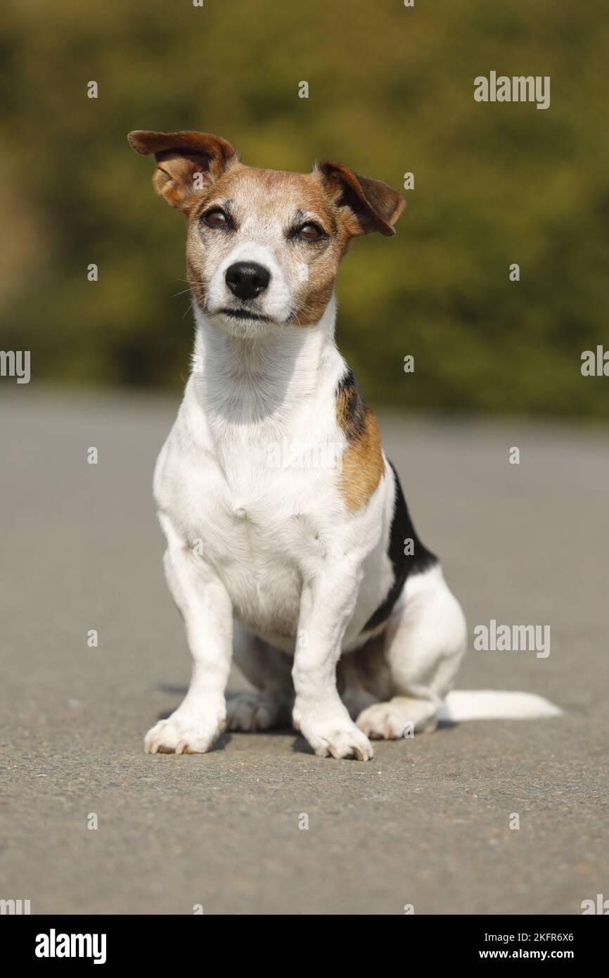 Russell and high streets hi-res stock photography and images - Alamy