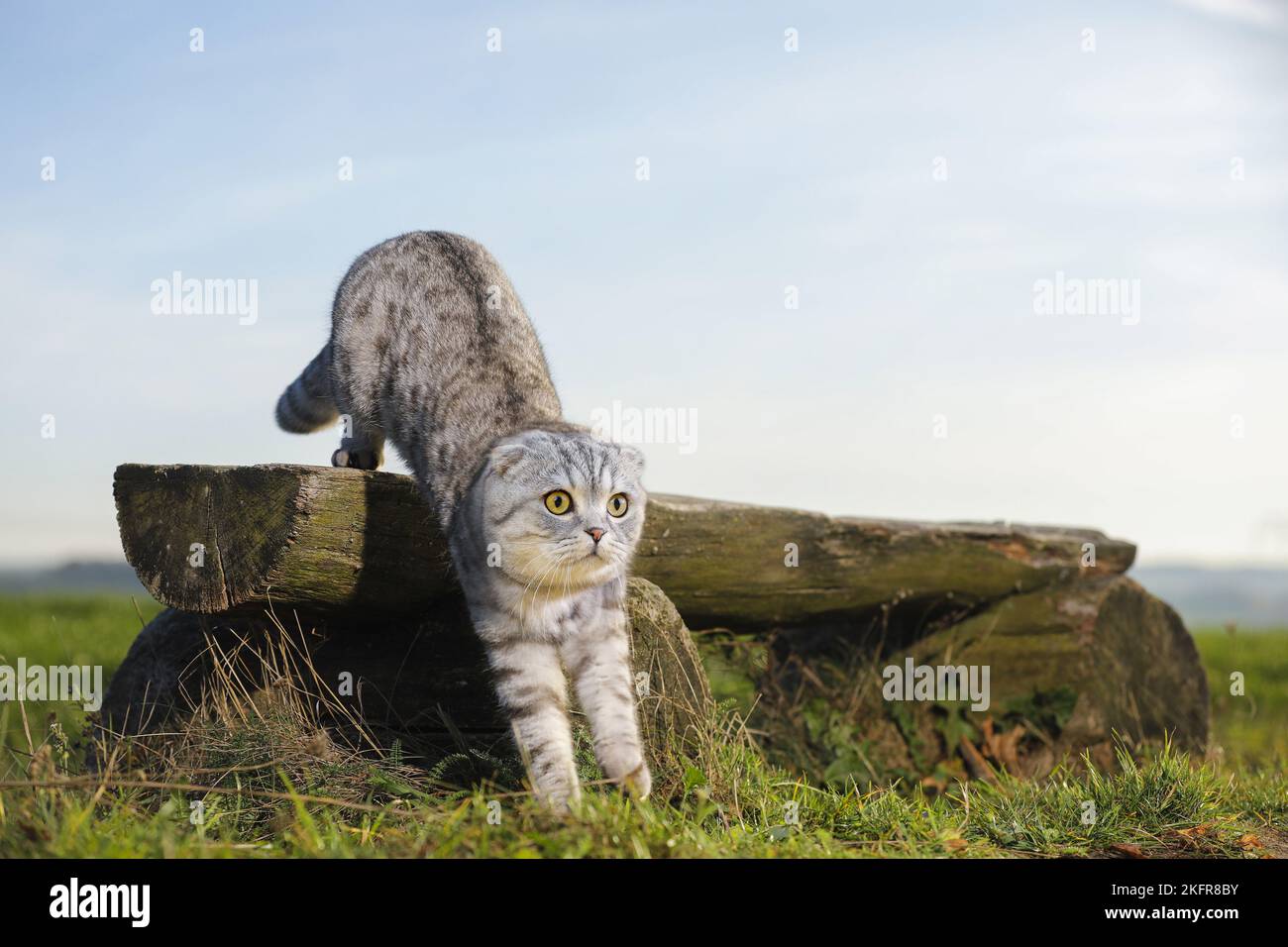 Fold house park hi-res stock photography and images - Alamy