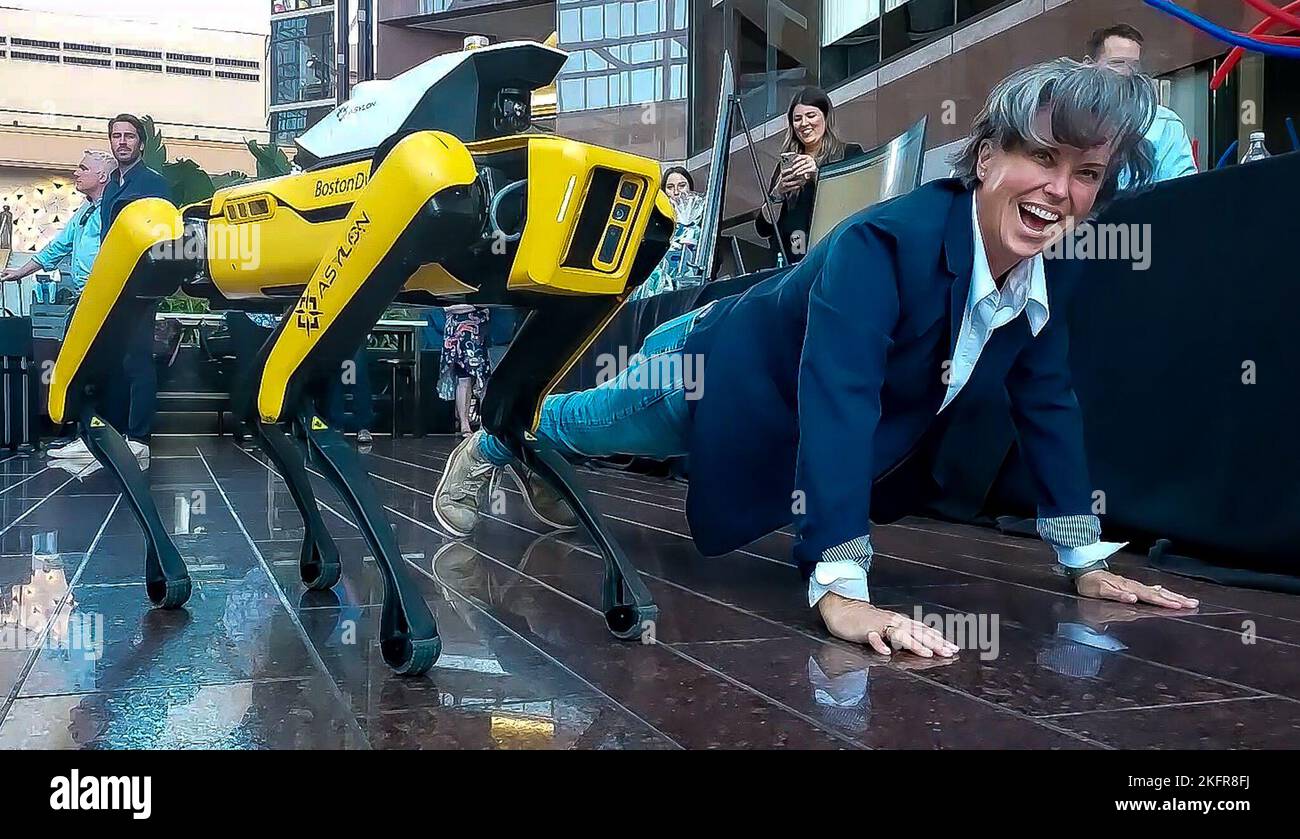 Dronedog hi-res stock photography and images - Alamy