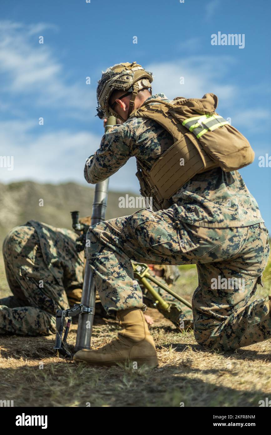 A U.S. Marine with 3d Littoral Combat Team, 3d Marine Littoral Regiment ...