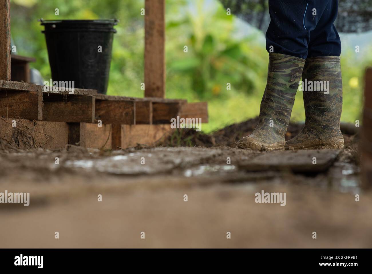 A local worker walks across a board during a Defense POW/MIA Accounting ...