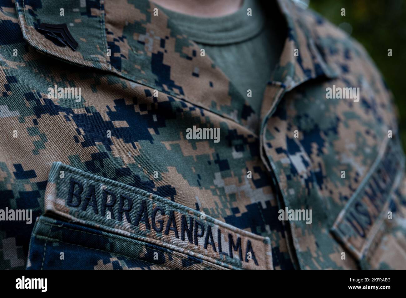 U.S. Marine Corps Lance Cpl. Miguel Barragan-Palma, with Chemical ...