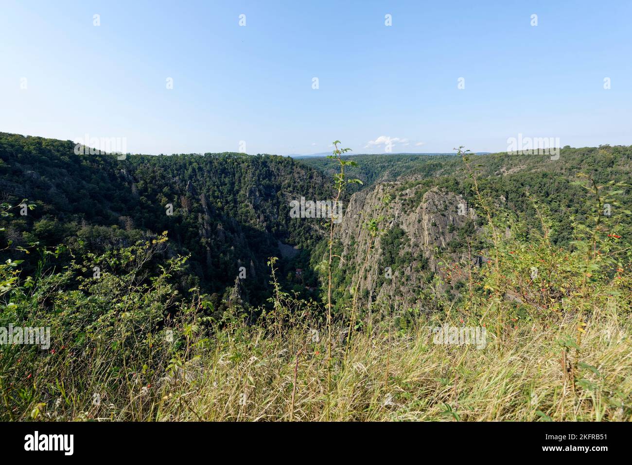 Obscurum Thale .Harz .Sachsen Anhalt Stock Photo - Alamy