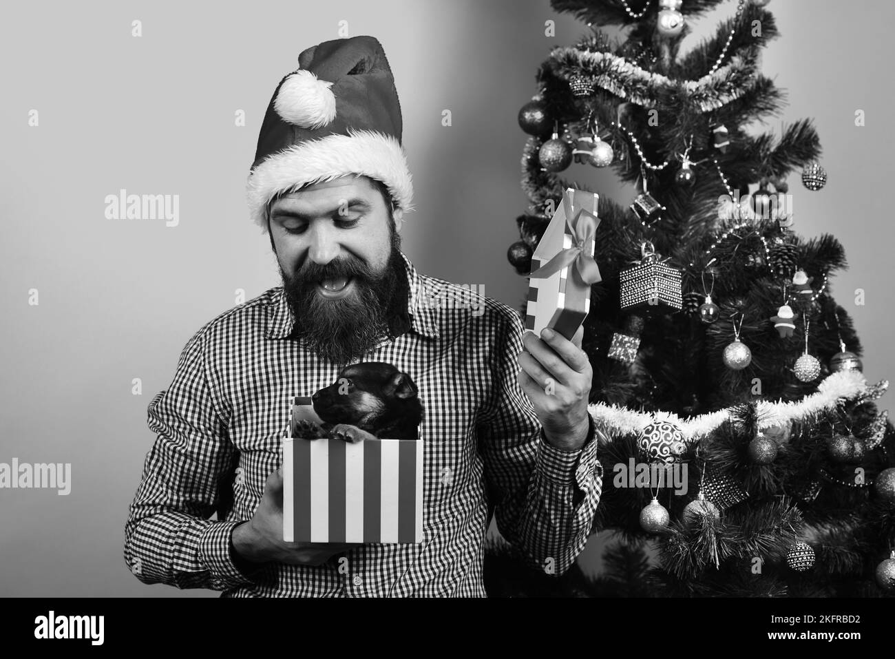 Doggy holiday Black and White Stock Photos & Images - Alamy