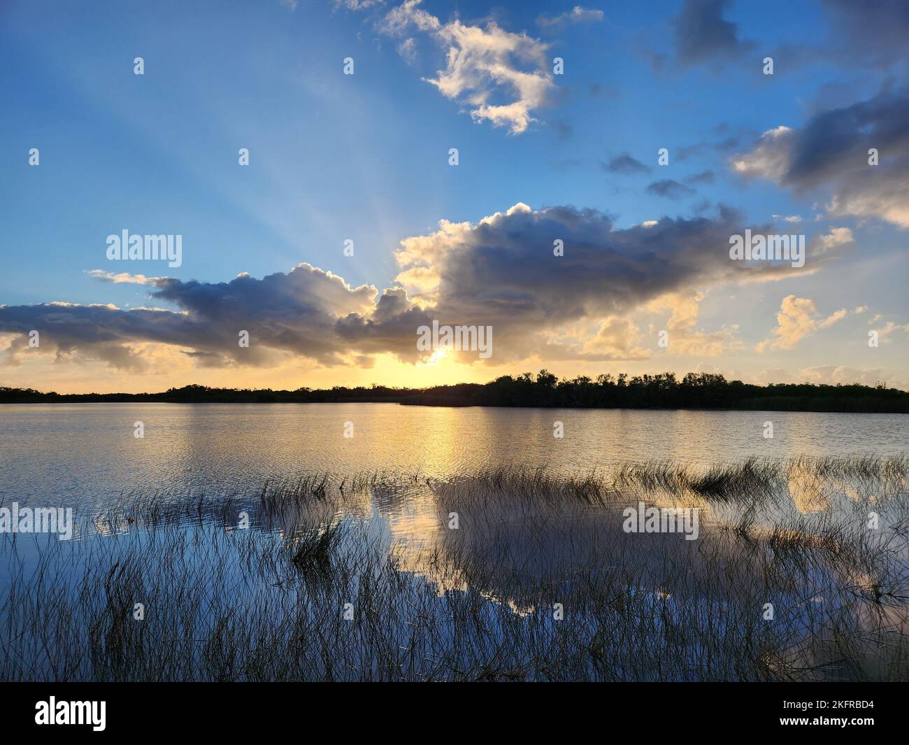 Colorful sunrise coudscape over Nine Mile Pond in Everglades National ...