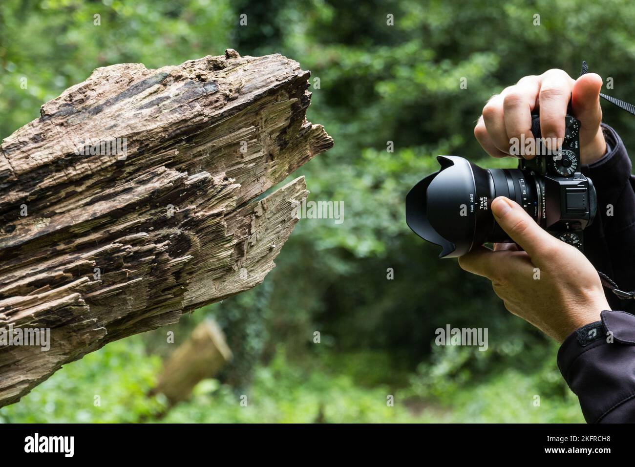 Timber perception hi-res stock photography and images - Alamy