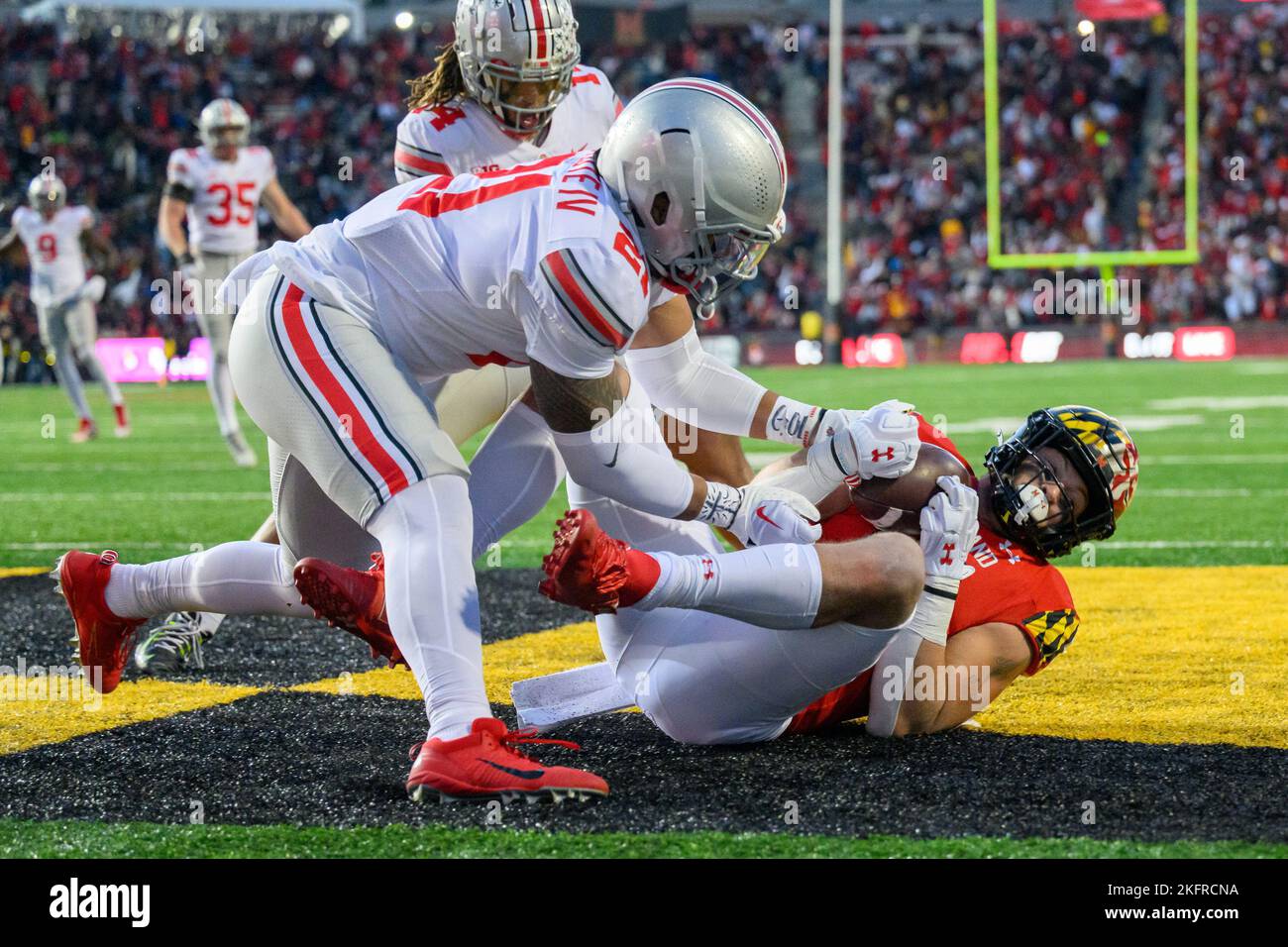 November 19, 2022: Maryland Terrapins tight end CJ Dippre (18) catches ...