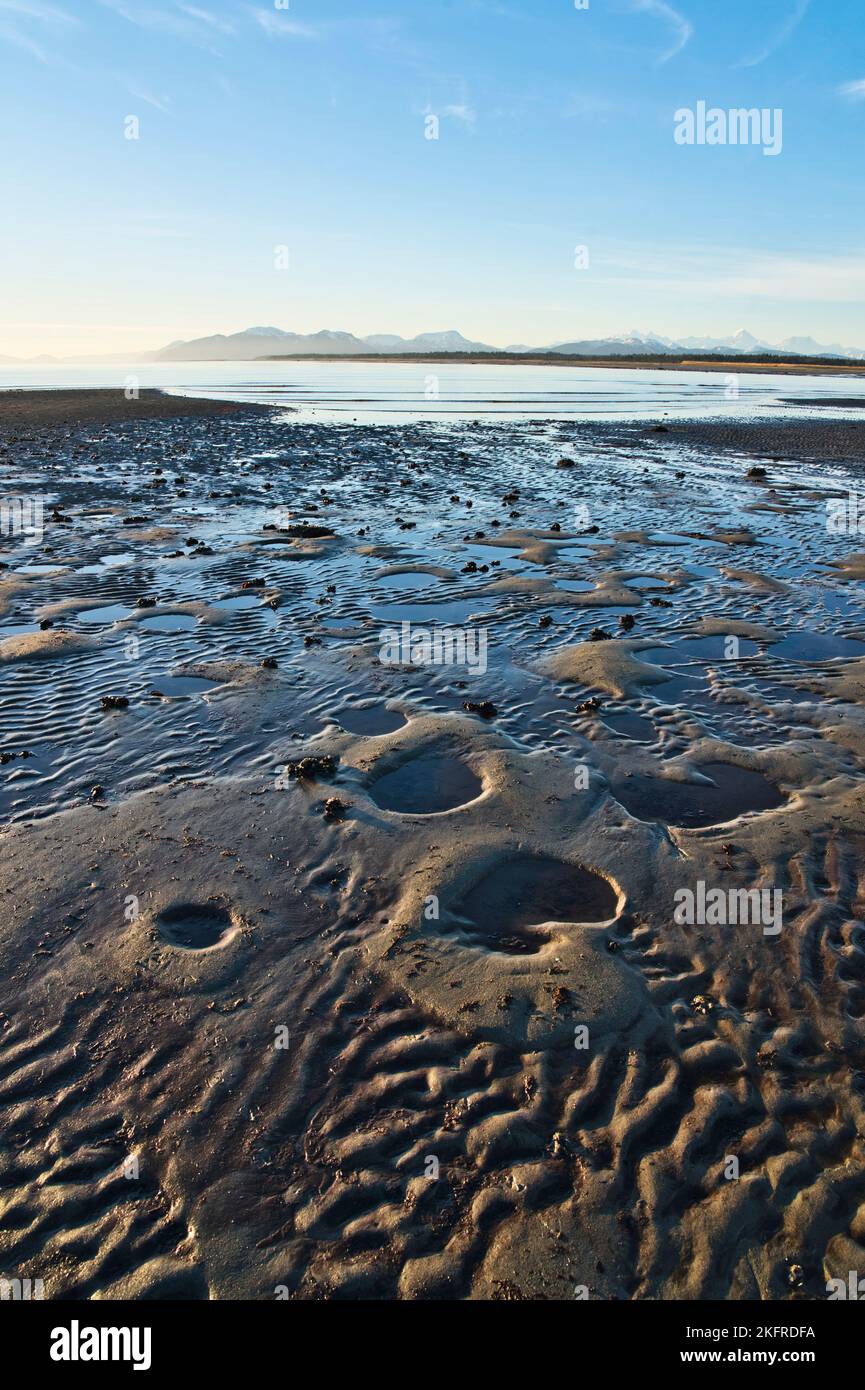 Large holes in sand at low tide on a beach near Gustavus Alaska at low ...