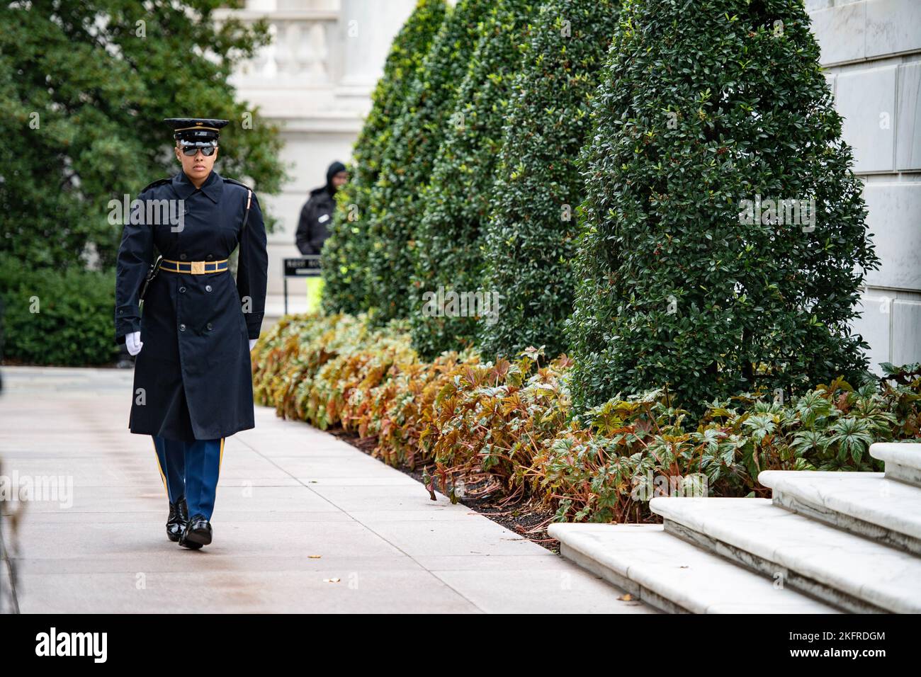 Sentinels from the 3d U.S. Infantry Regiment conduct the Changing of ...