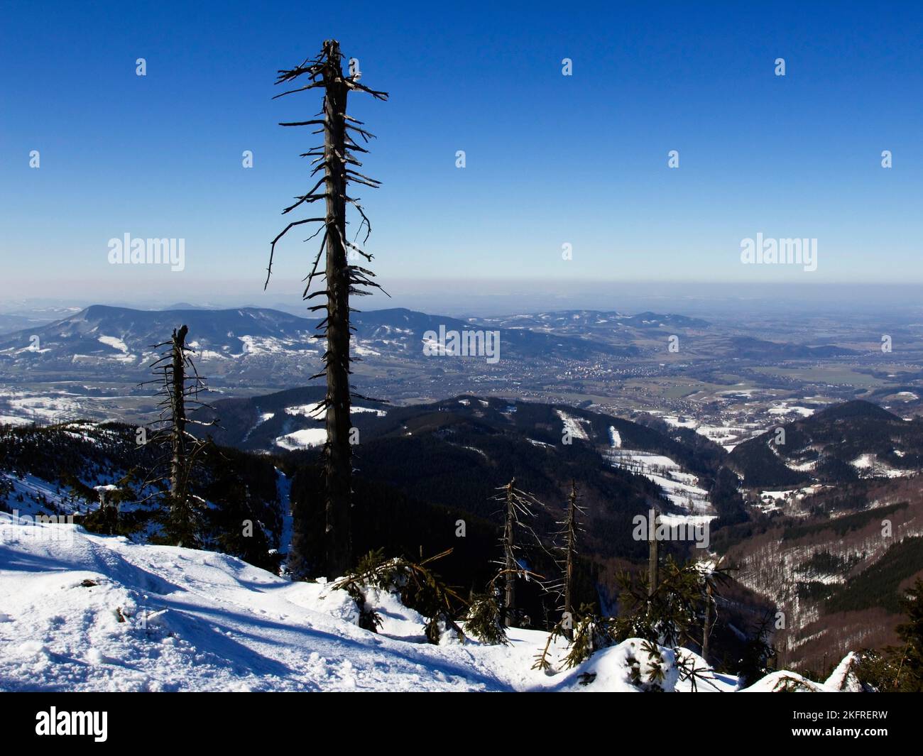 Winter nature on Lysa Hora in the Beskydy Mountains in Moravia in the ... Winter nature on Lysa Hora in the Beskydy Mountains in Moravia in the ...