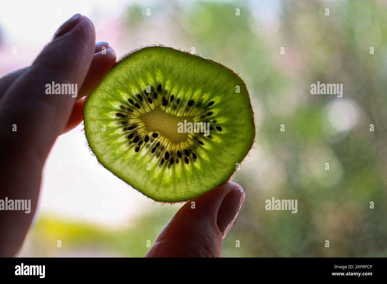 hand holding kiwi, close up, blurred background Stock Photo - Alamy