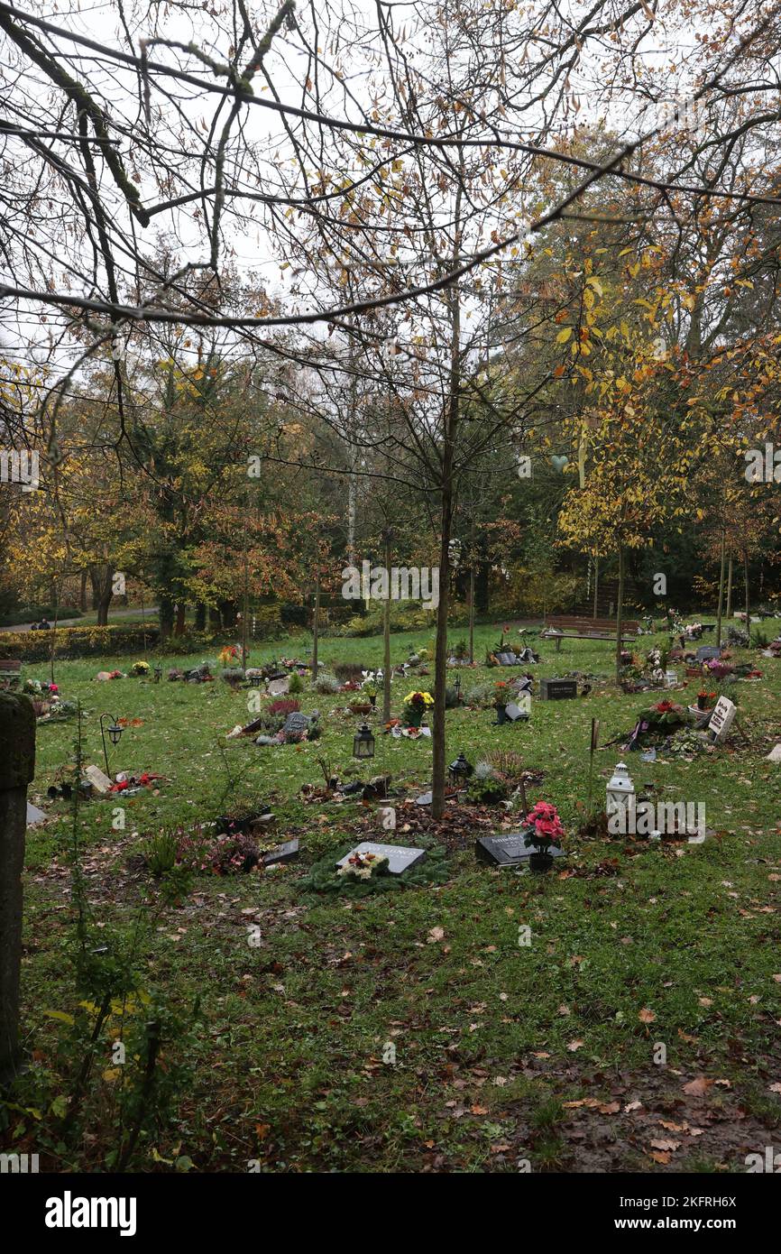 Jena, Germany. 16th Nov, 2022. Tree graves, urn spaces under trees or grouped around trees, can ...