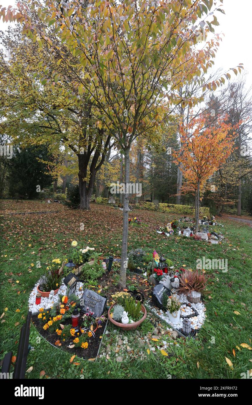 Jena, Germany. 16th Nov, 2022. Tree graves, urn spaces under trees or ...