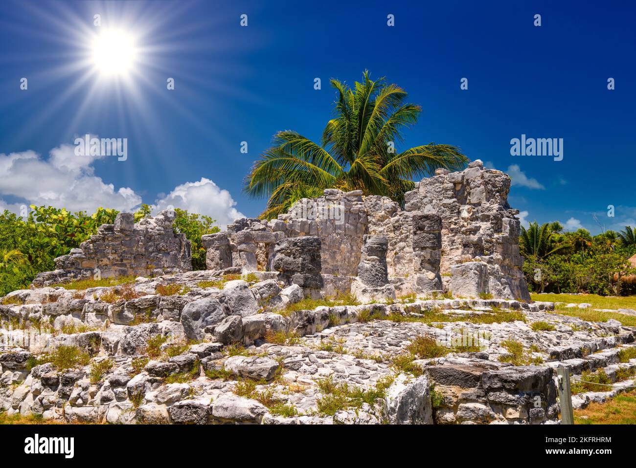 Ancient ruins of Maya in El Rey Archaeological Zone near Cancun ...